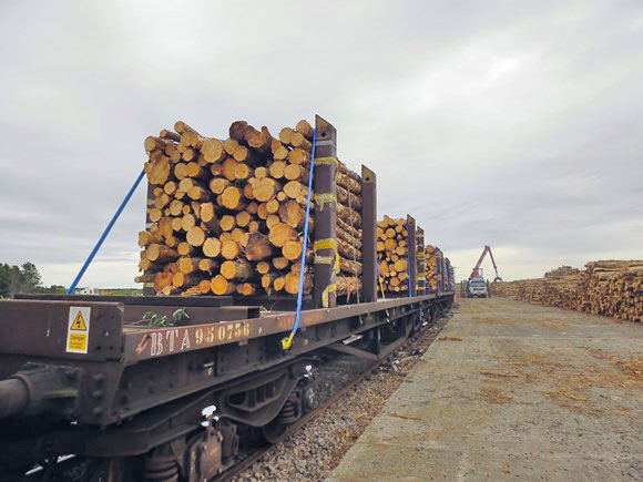 Scottish Road To Rail Timber Trial - Transport News